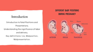 shoulder dystocia , diagnosis and its management | PDF