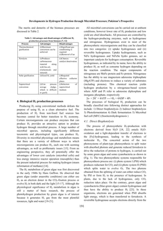 Developments in Hydrogen Production through Microbial Processes | PDF