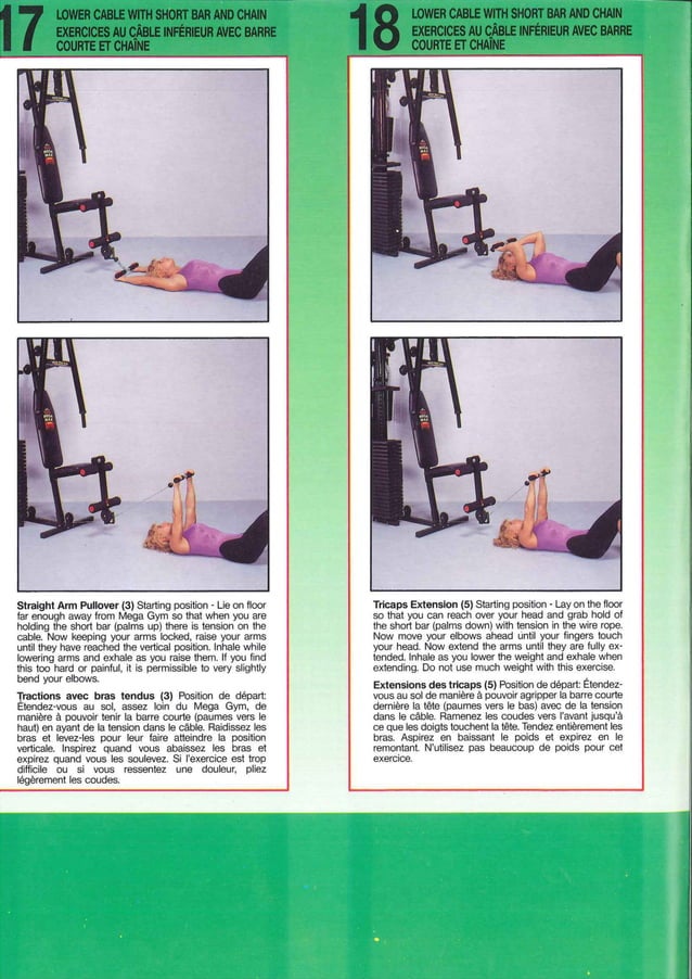 York Mega Max 3001 Gym Workout Chart | PDF