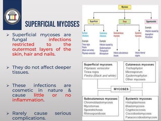 PDF (4).pdfvvvvvvvvvvvvvvvvvvvvvvvvvvwwwww | PDF