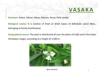 PDF ANTI-TUSSIVE.pdf (Vasaka and Tolu Balsam & Peru Balsam) | PDF