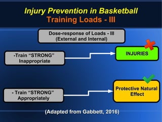 Injury Prevention in Basketball | PDF