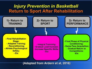 Injury Prevention in Basketball | PDF