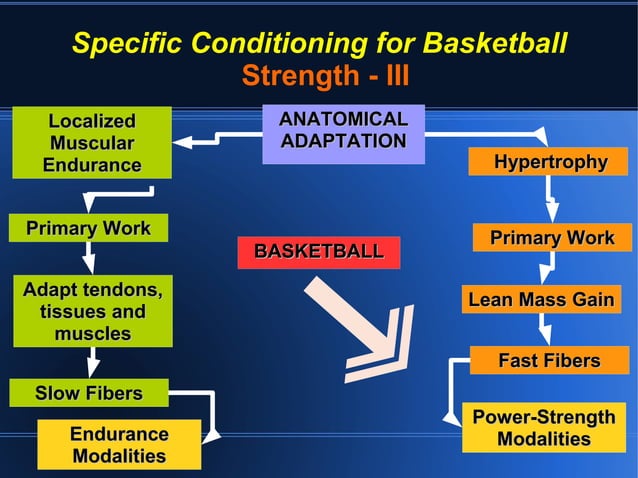 Specific Conditioning for Basketball | PPT
