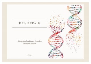 DNA Repair | PDF | Cancer | Diseases and Conditions