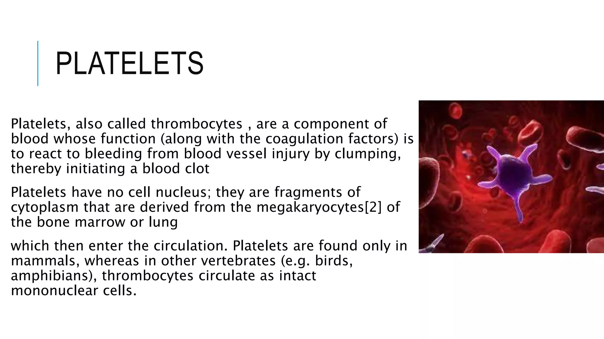 pdf blood 2group.pptx