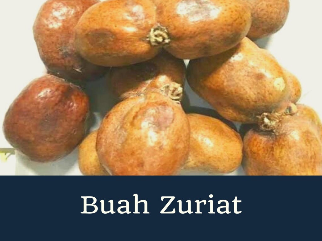 buah zuriat untuk apa,buah zuriat dalam al quran,buah zuriat asli dan palsu