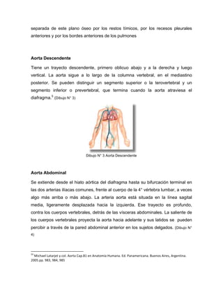 M3 C3..Anatomía del Sistema Circulatorio Pdf | PDF