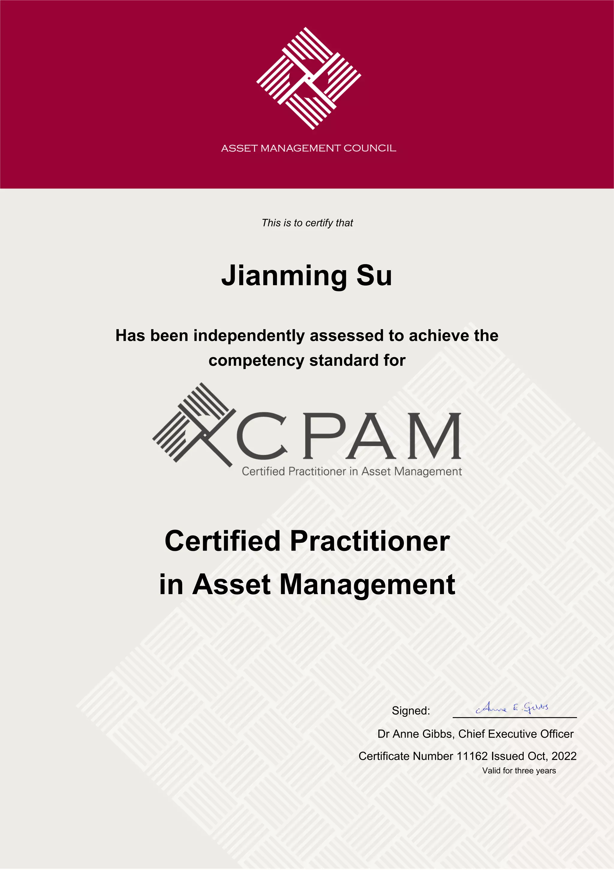 Certified Practitioner in Asset Management | PDF