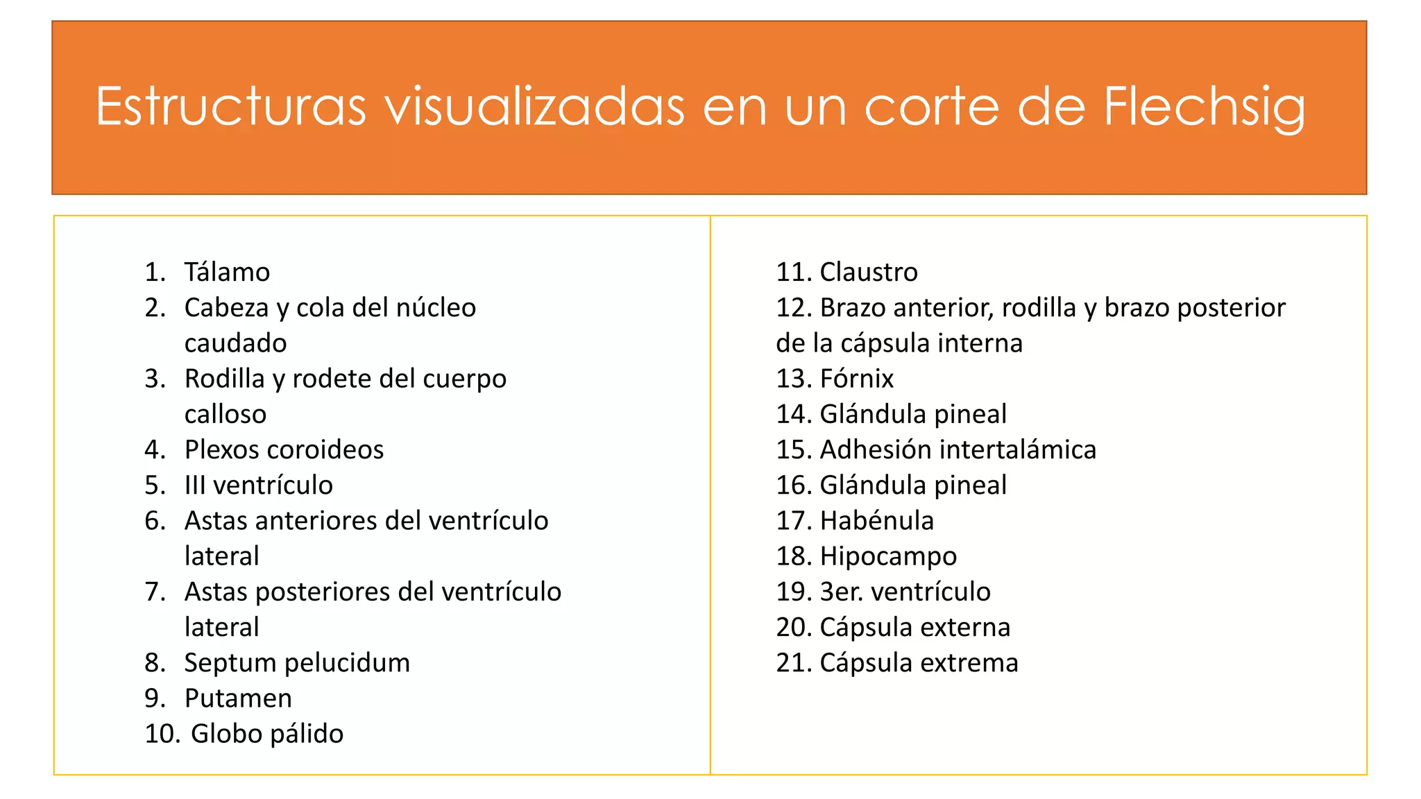 Corte de Flechsig y Charcot | PPTX