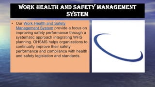 Work Health and Safety Management System | PDF