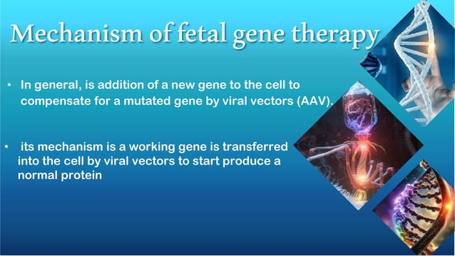 PRESENTATION OF FETAL GENE THERAPY. PDF. | PPT