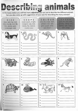 Adjectives: MInd Map | PDF