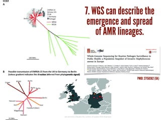 Whole genome sequencing as a starting point to understanding ...