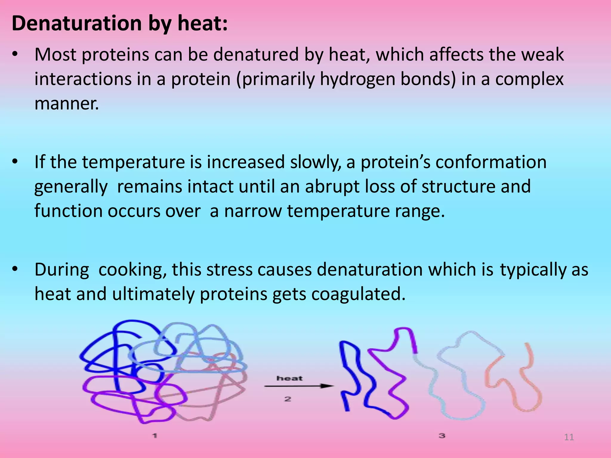PROTEIN DENATURATION | PPTX