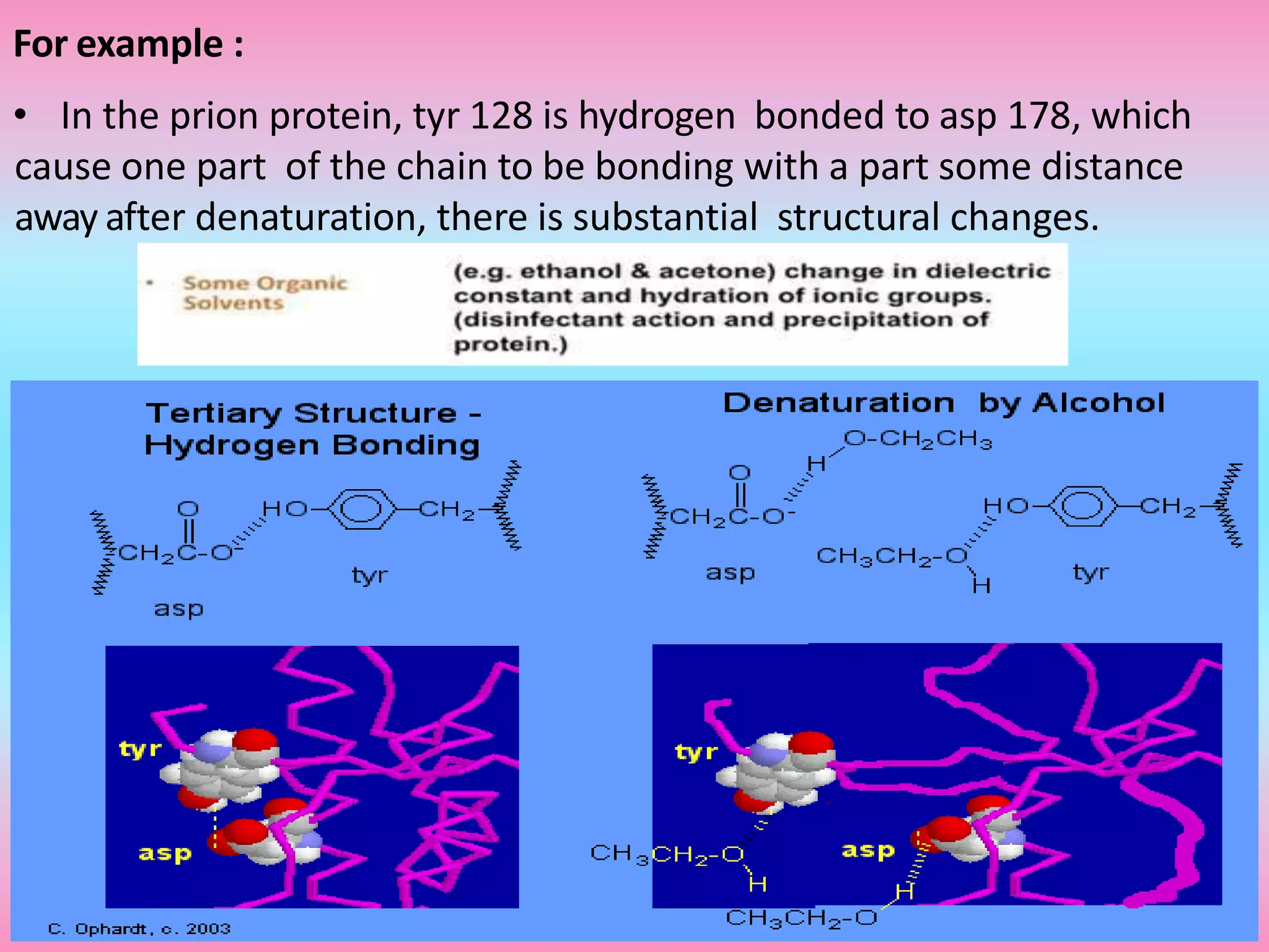 PROTEIN DENATURATION | PPTX