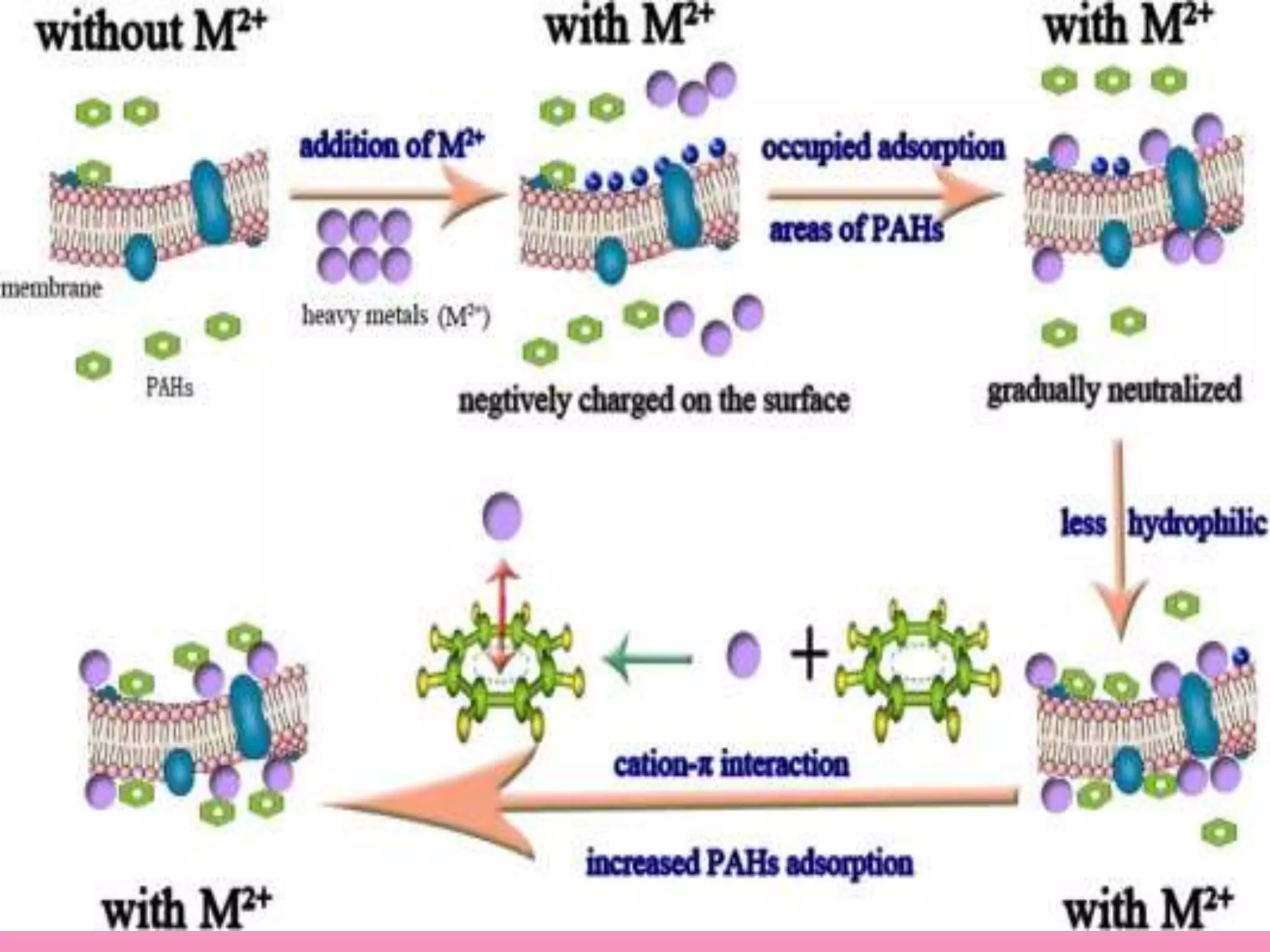 PROTEIN DENATURATION | PPTX