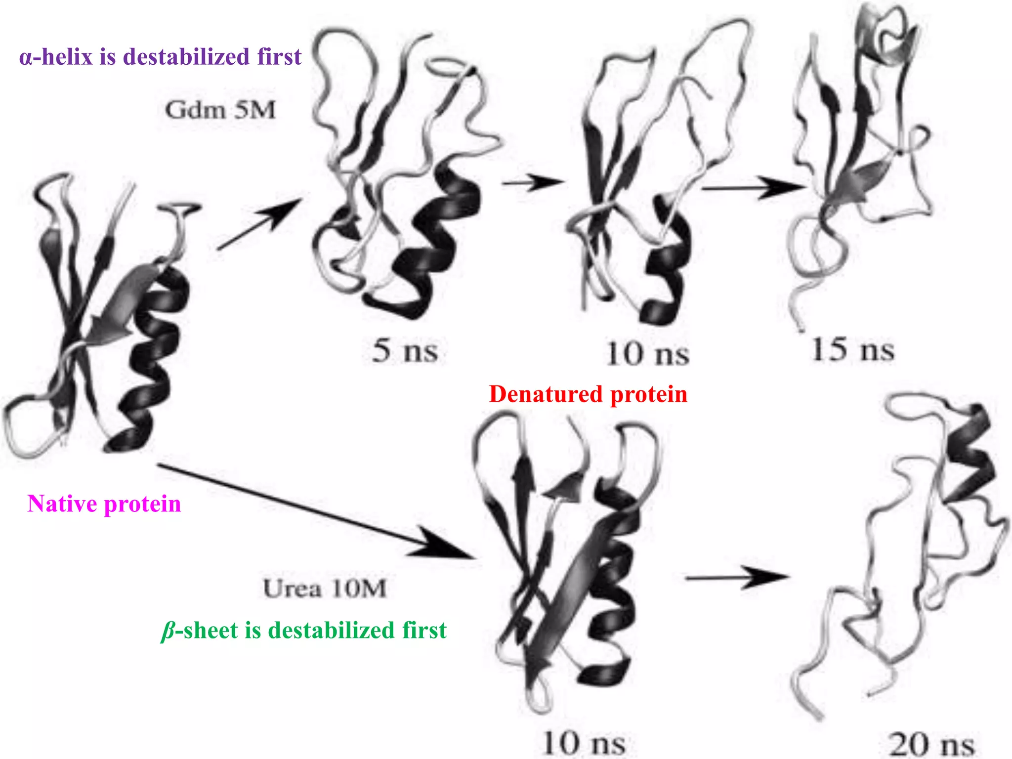 PROTEIN DENATURATION | PPTX