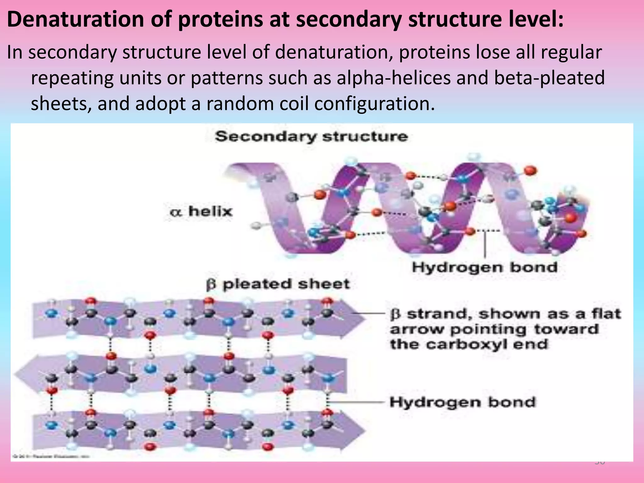 PROTEIN DENATURATION | PPTX
