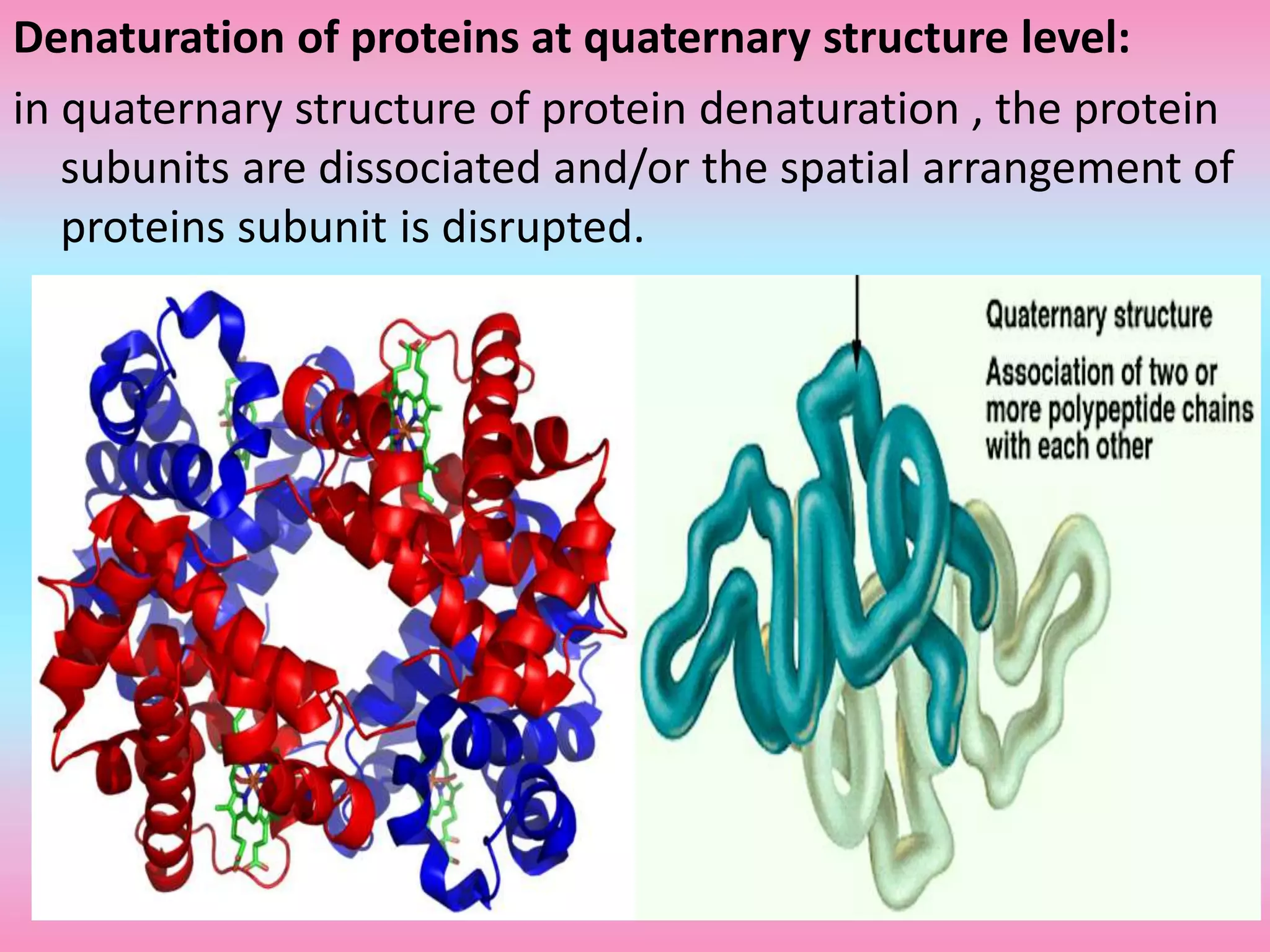 PROTEIN DENATURATION | PPTX