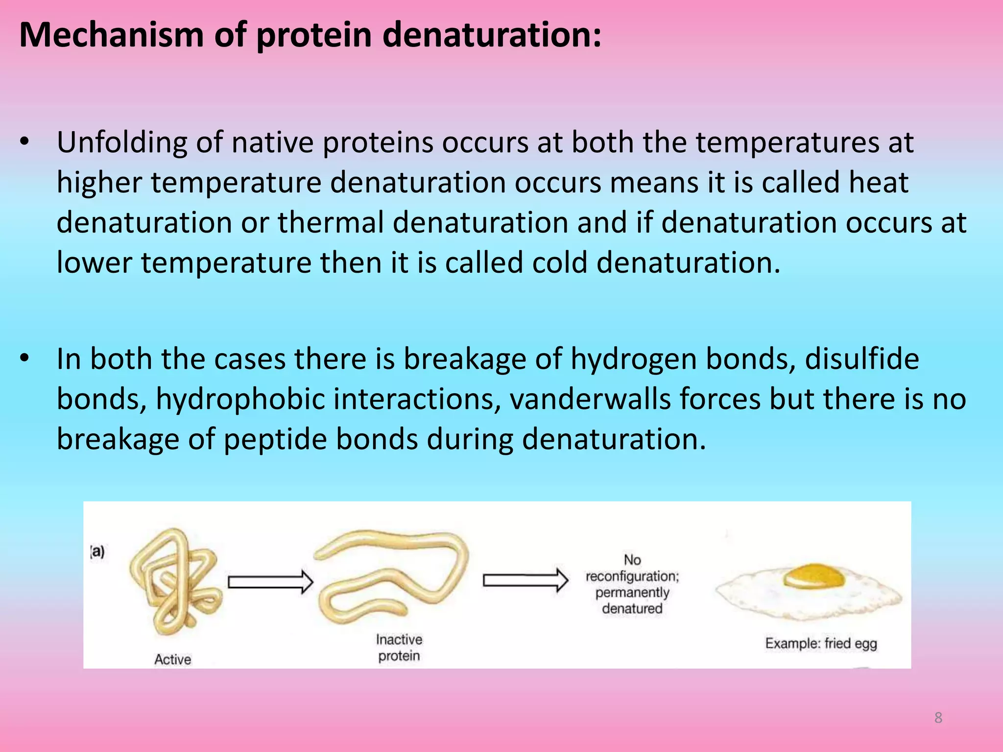 PROTEIN DENATURATION | PPTX