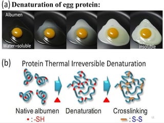 PROTEIN DENATURATION | PPTX