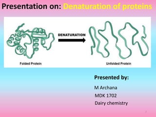 PROTEIN DENATURATION | PPTX