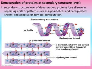 PROTEIN DENATURATION | PPT