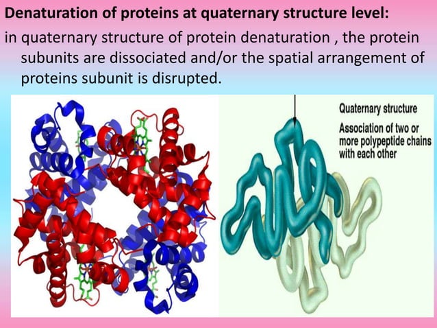 PROTEIN DENATURATION