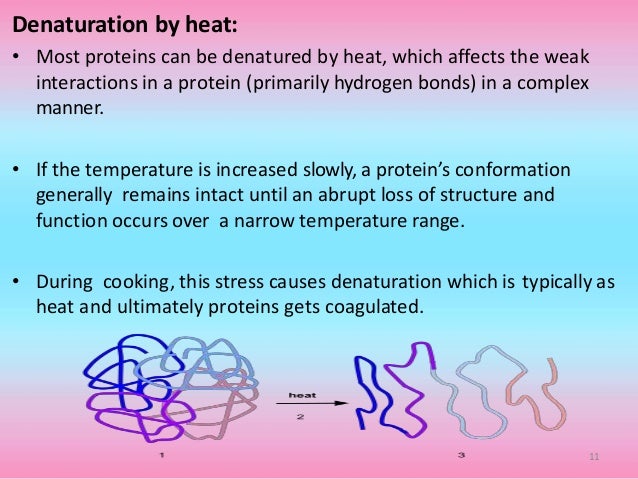 PROTEIN DENATURATION