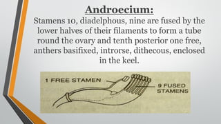 FAMILY FABACEAE | PDF
