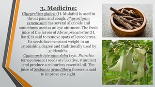 FAMILY FABACEAE | PDF