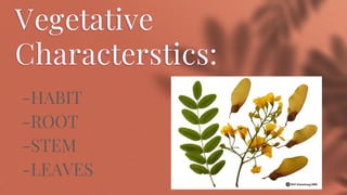 FAMILY FABACEAE | PDF