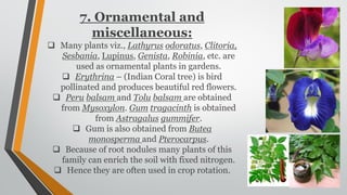 FAMILY FABACEAE | PDF