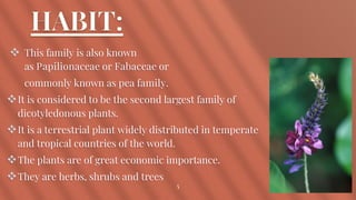 FAMILY FABACEAE | PDF