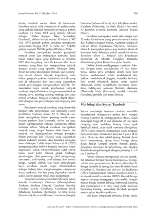 Farmakognosi - Santali Lignum (Cendana) | PDF