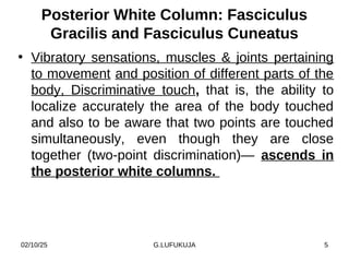 Ascending pathways of pain and temperature | PDF