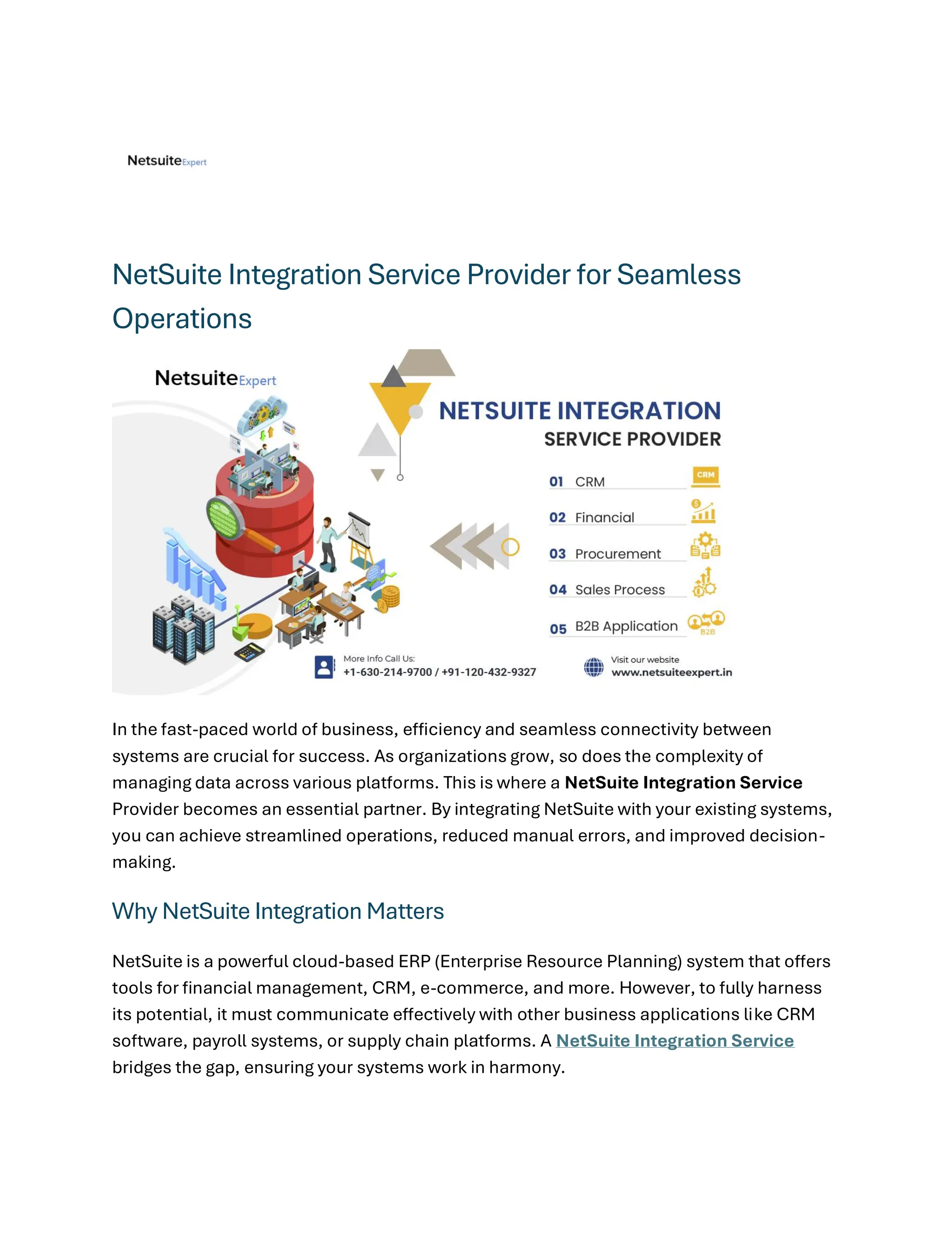 NetSuite Integration for Seamless Operations | PDF
