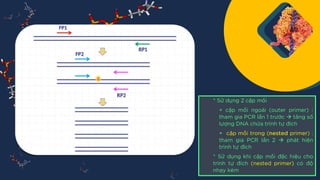 [Pdf] _ Nested PCR.pdf