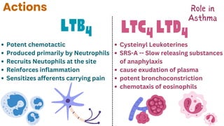 PDF of LEUKOTERINES & related drugs.pdf