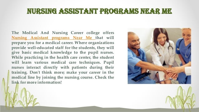 Certified Nurse Assistant Program | PDF | Professional School ...