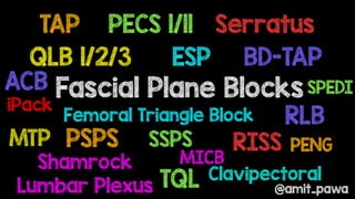 Concepts in Fascial Plane Blocks - What Every Anaesthetist Needs to ...