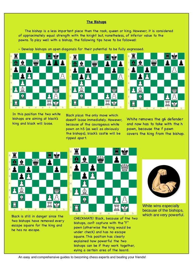 A FUN AND ENTERTAINING CHESS GUIDE FOR KIDS!