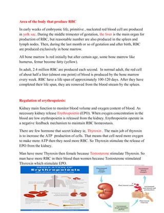Red blood cell formation and fate of RBC | PDF