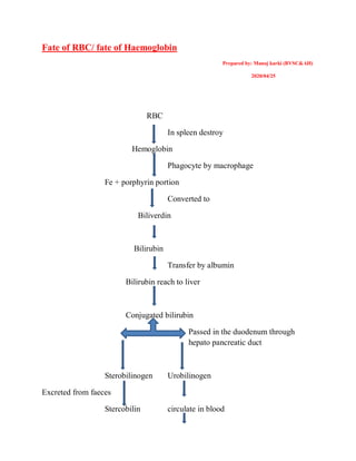 Red blood cell formation and fate of RBC | PDF