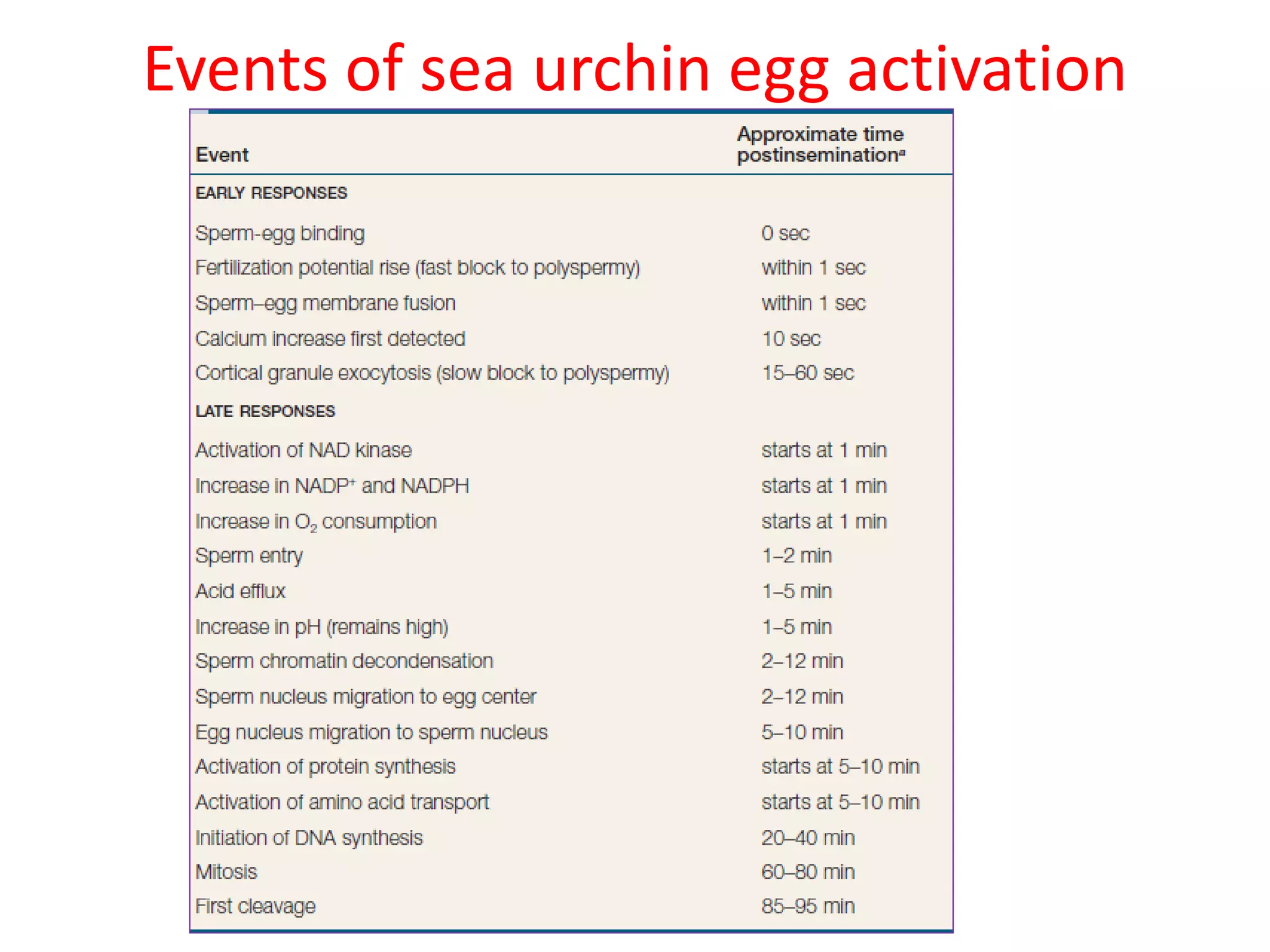 External fertilization | PDF