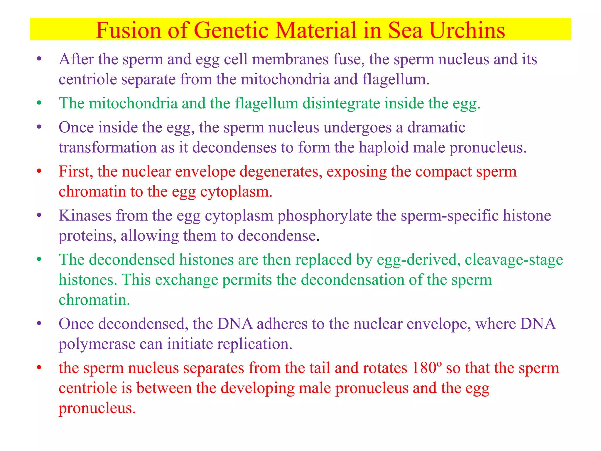 External fertilization | PDF