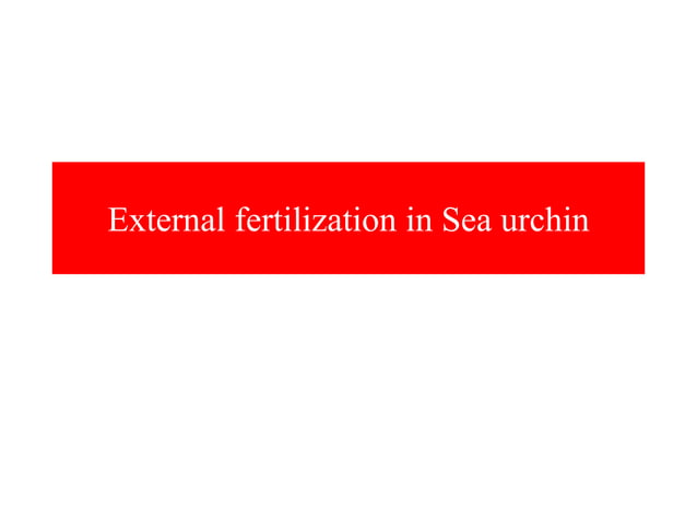 External fertilization | PDF