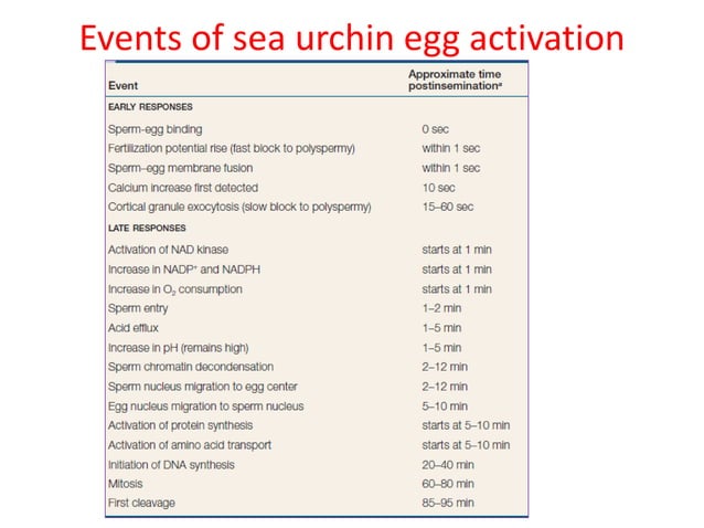 External fertilization | PDF