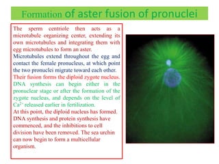 External fertilization | PDF
